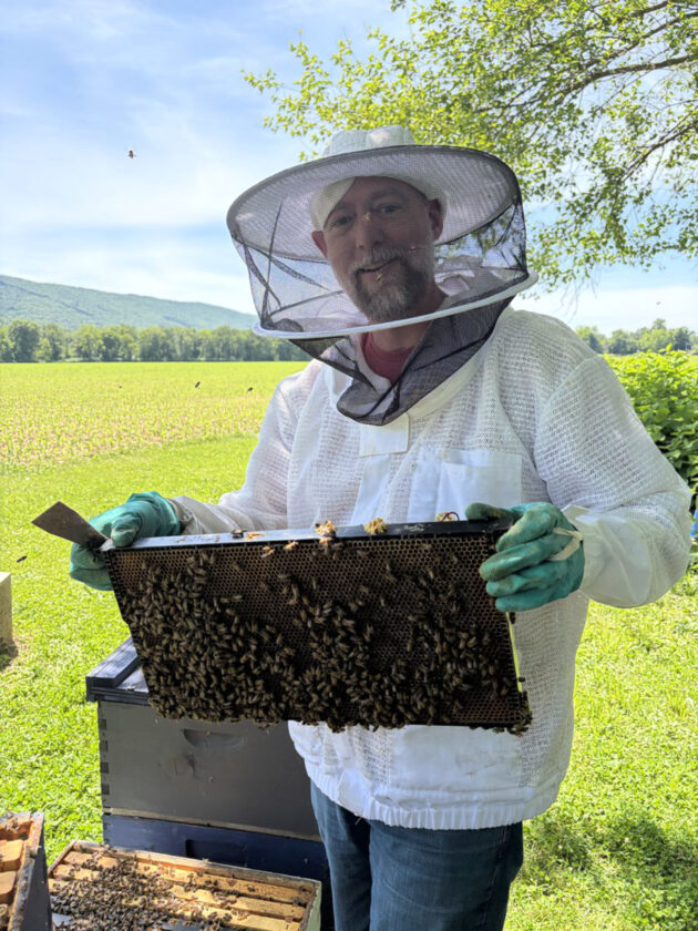 Rhythm of the Hive: Local beekeeper, pastor talks about connections ...